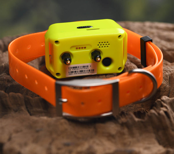 4G IK122T Pro Hound GPS Training Collar Without Distance Limit – icar gps